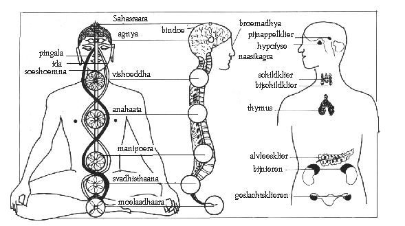 Yoga Vedanta Aalst - Japa Yoga 1